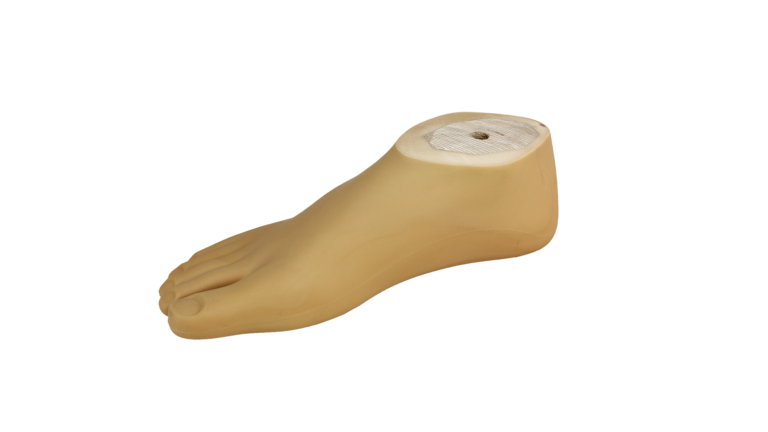 Prosthetic Feet - Bionest